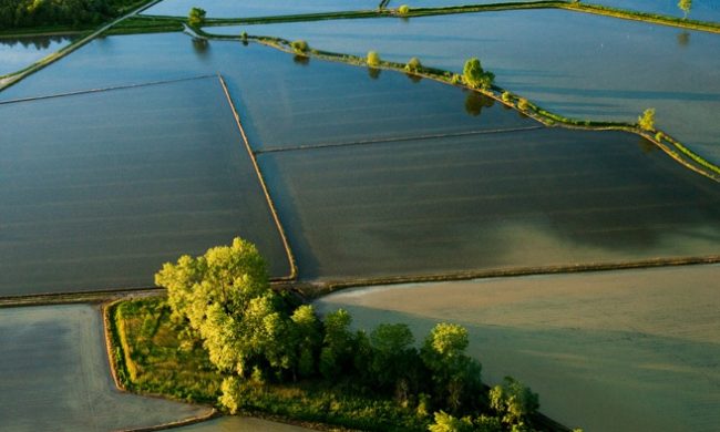 Il "Gran tour" della Regione toccherà Vercelli alla scoperta delle ...