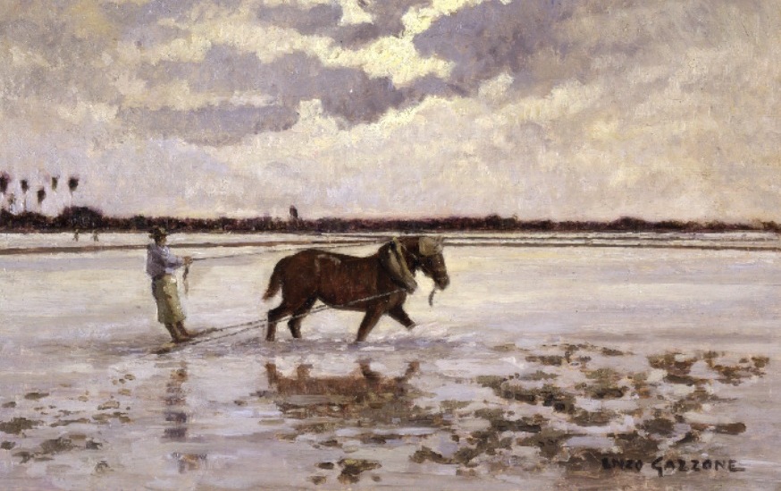 L'Ente Risi onora Enzo Gazzone: la Rapsodia della Risaia in mostra a ...